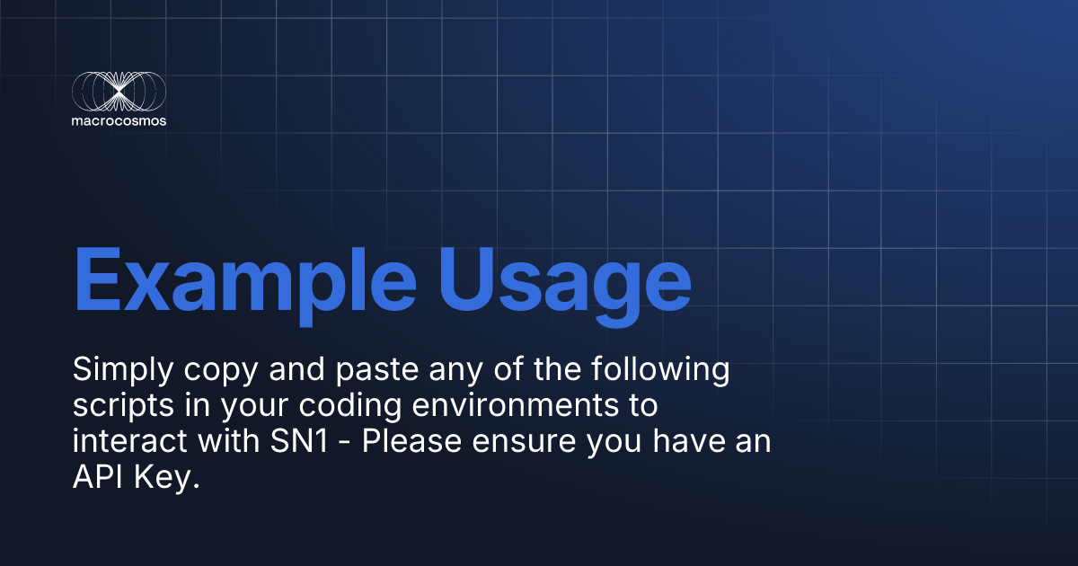 Example Usage | Macrocosmos Developer Guide